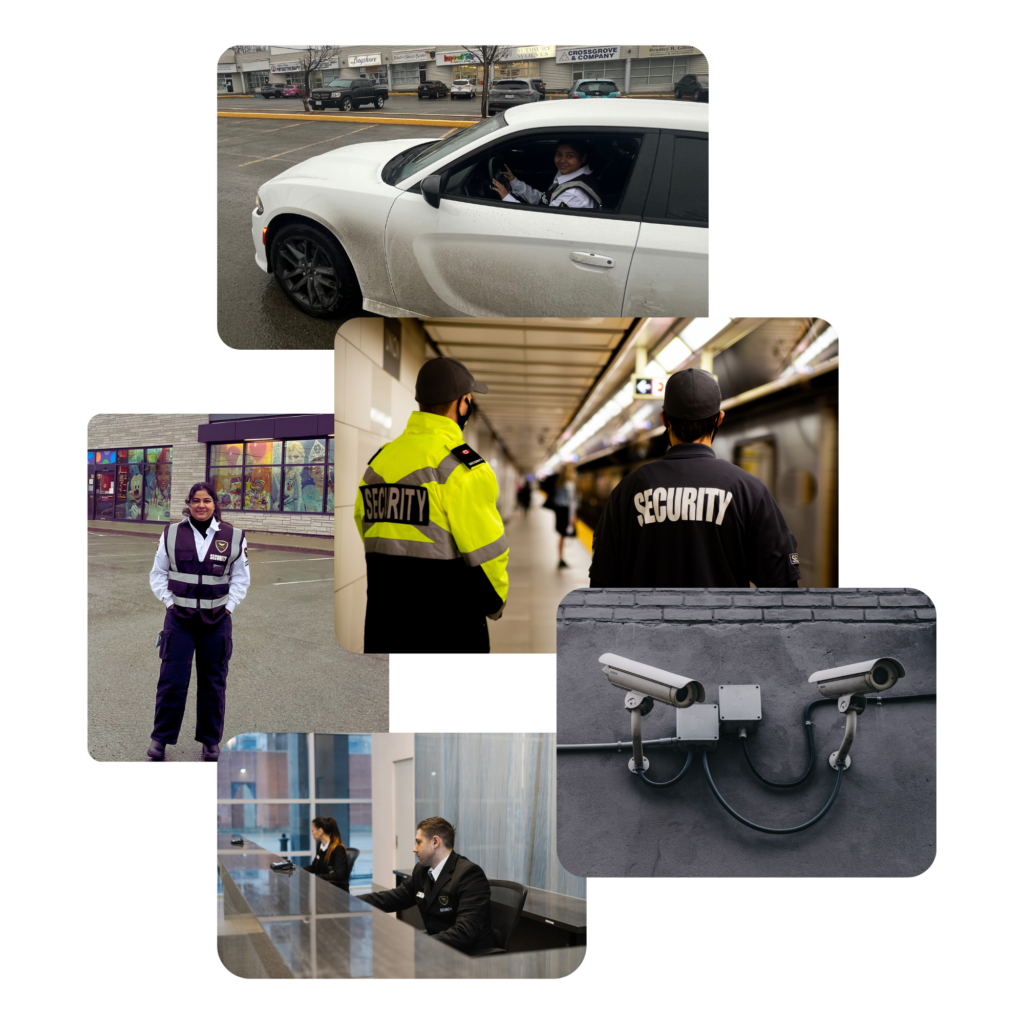 Home - Smart Hawk Security